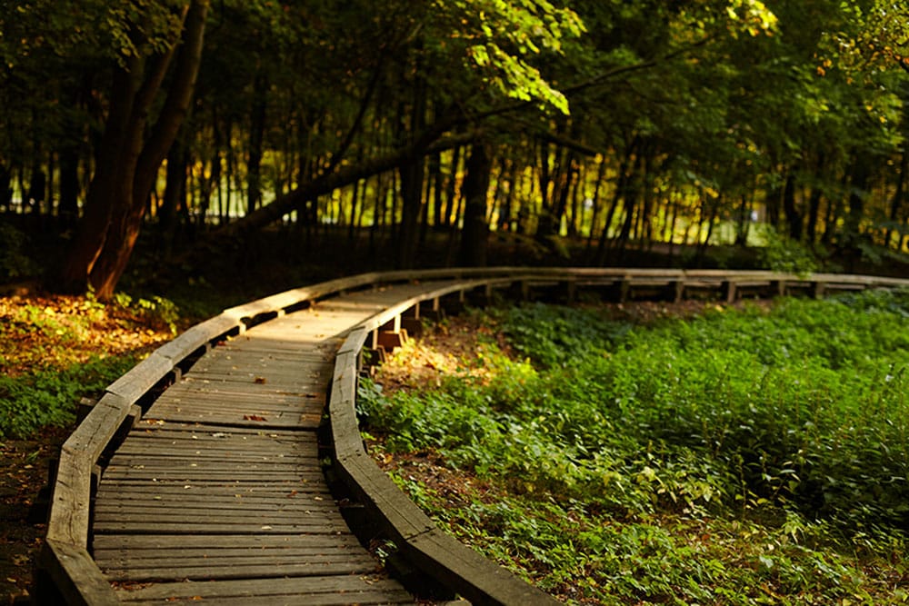 Opportunities Beyond a Precarious Growth Path - Fixed Income News Australia