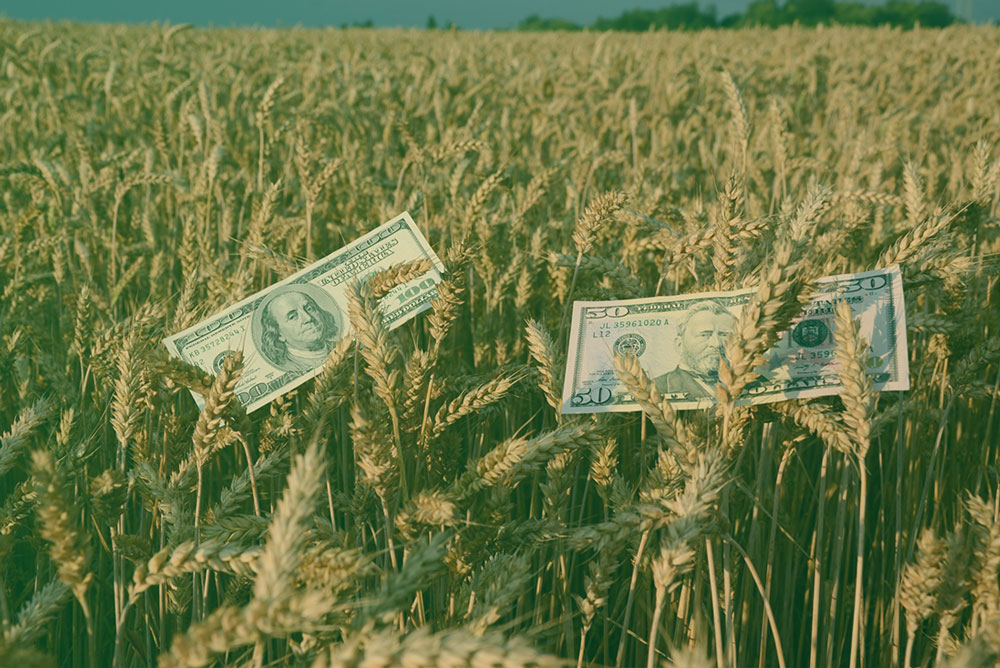 The Late-cycle Environment Continues To Play Out - Fixed Income News ...